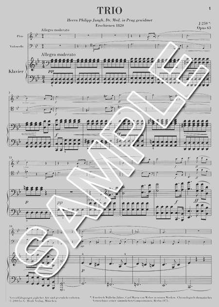 ムラマツフルート｜TRIO G-MOLL OP.63: 楽譜