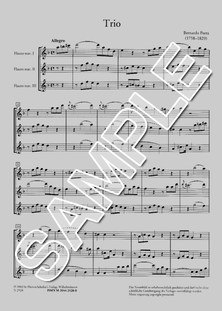 ムラマツフルート｜TRIO D-MOLL OP.1 NO.1: 楽譜