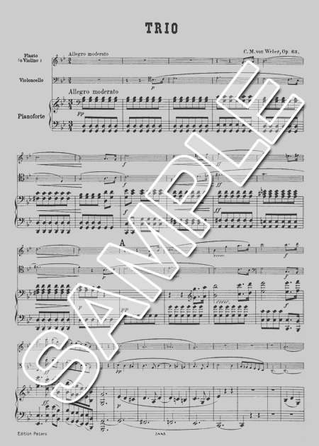 ムラマツフルート｜TRIO G-MOLL,OP.63: 楽譜