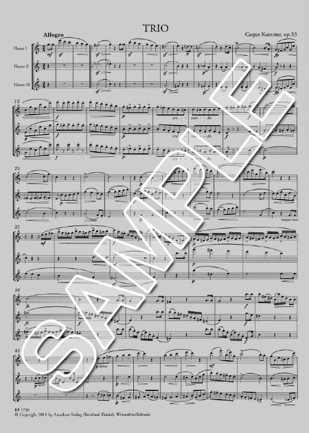 ムラマツフルート｜TRIO IN C-DUR OP.53: 楽譜