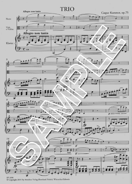 ムラマツフルート｜TRIO IN C-DUR OP.75, SCORE & PARTS: 楽譜